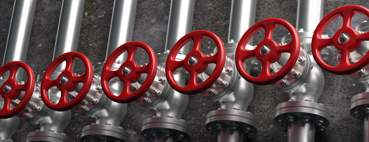 Valves & Fittings - SAP Total Engineering Solution